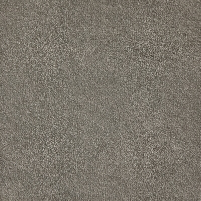 Sumptuous | Premium SDN | Belgotex Carpet & Flooring