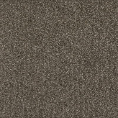 Sumptuous | Premium SDN | Belgotex Carpet & Flooring